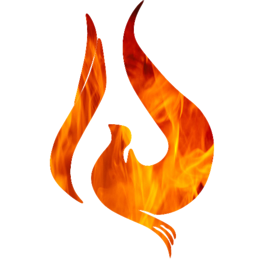 About – Firelight Studios